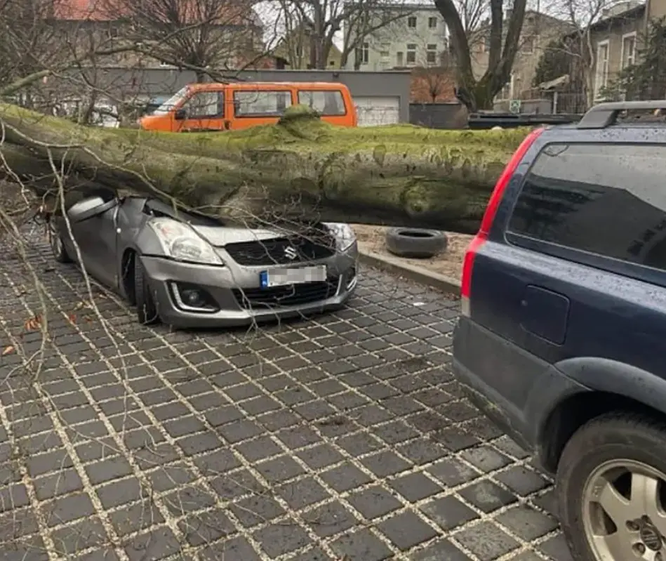 Drzewo dosłownie zmiażdżyło osobowe suzuki – Wielkopolska 112