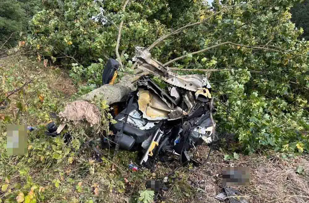 Makabryczny wypadek. Audi dosłownie rozerwane na części, młody kierowca zginął na miejscu ...